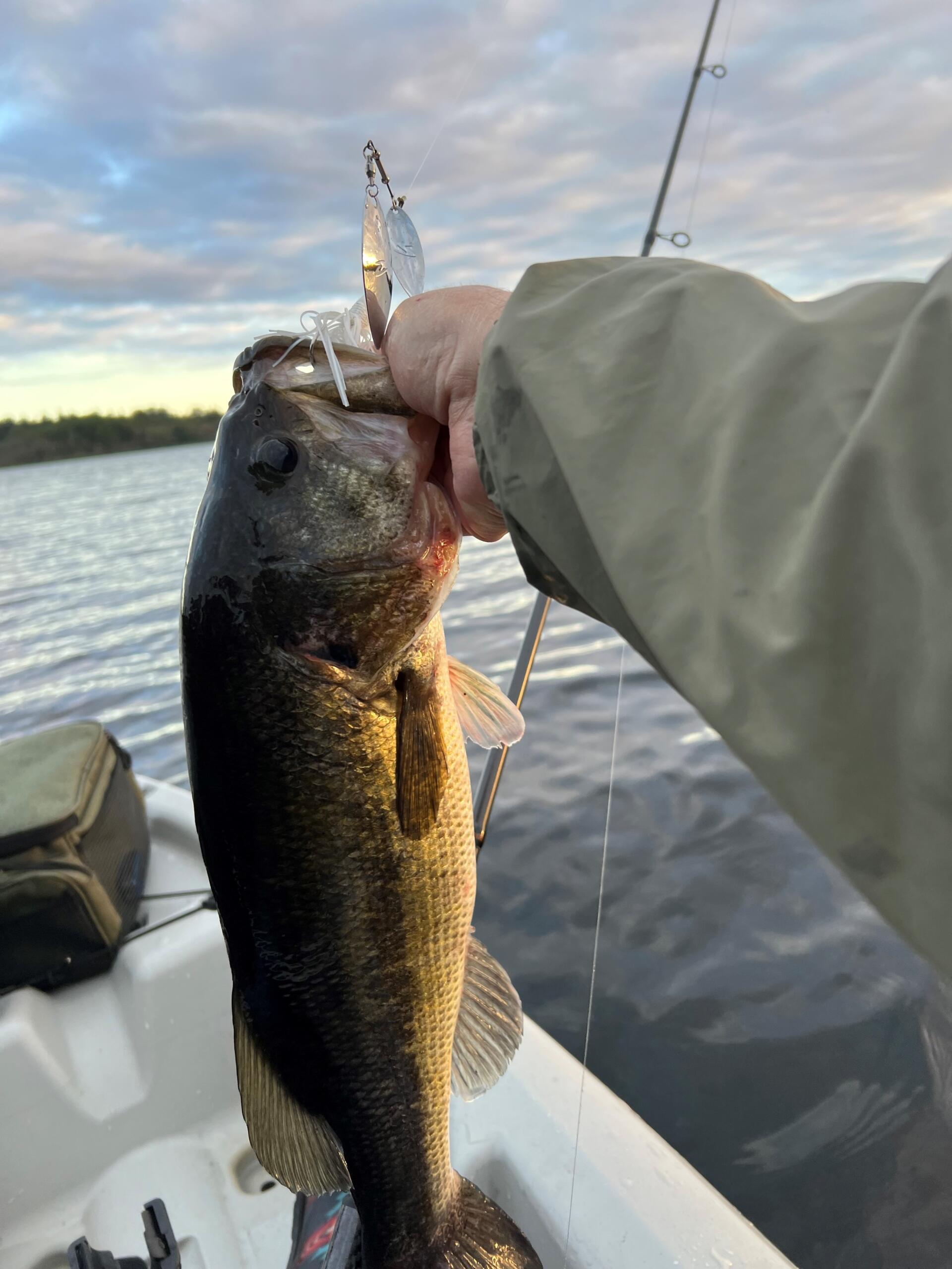 Fishing for Bass: Is this the best bass season in Whatcom County… ever ...