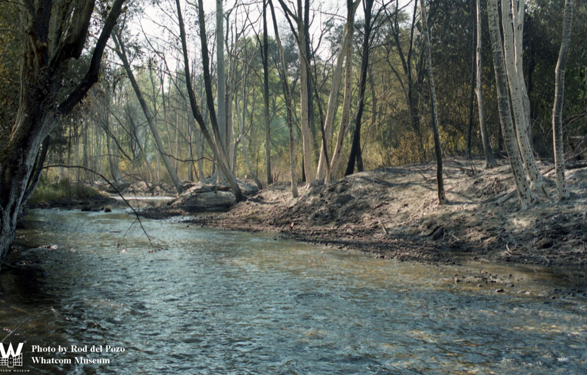 A deadly disaster in Bellingham brought changes to make pipelines safer ...