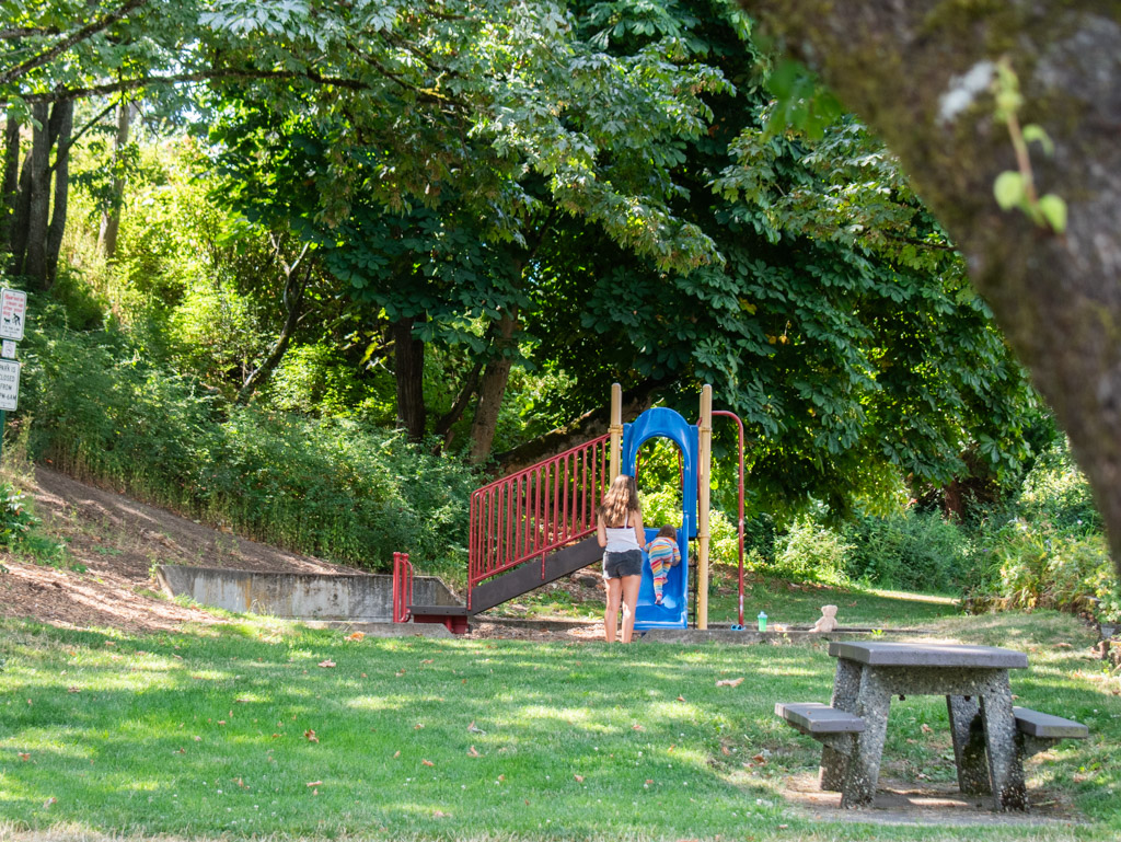 From green spaces to gathering places: Neighborhood parks in Bellingham ...