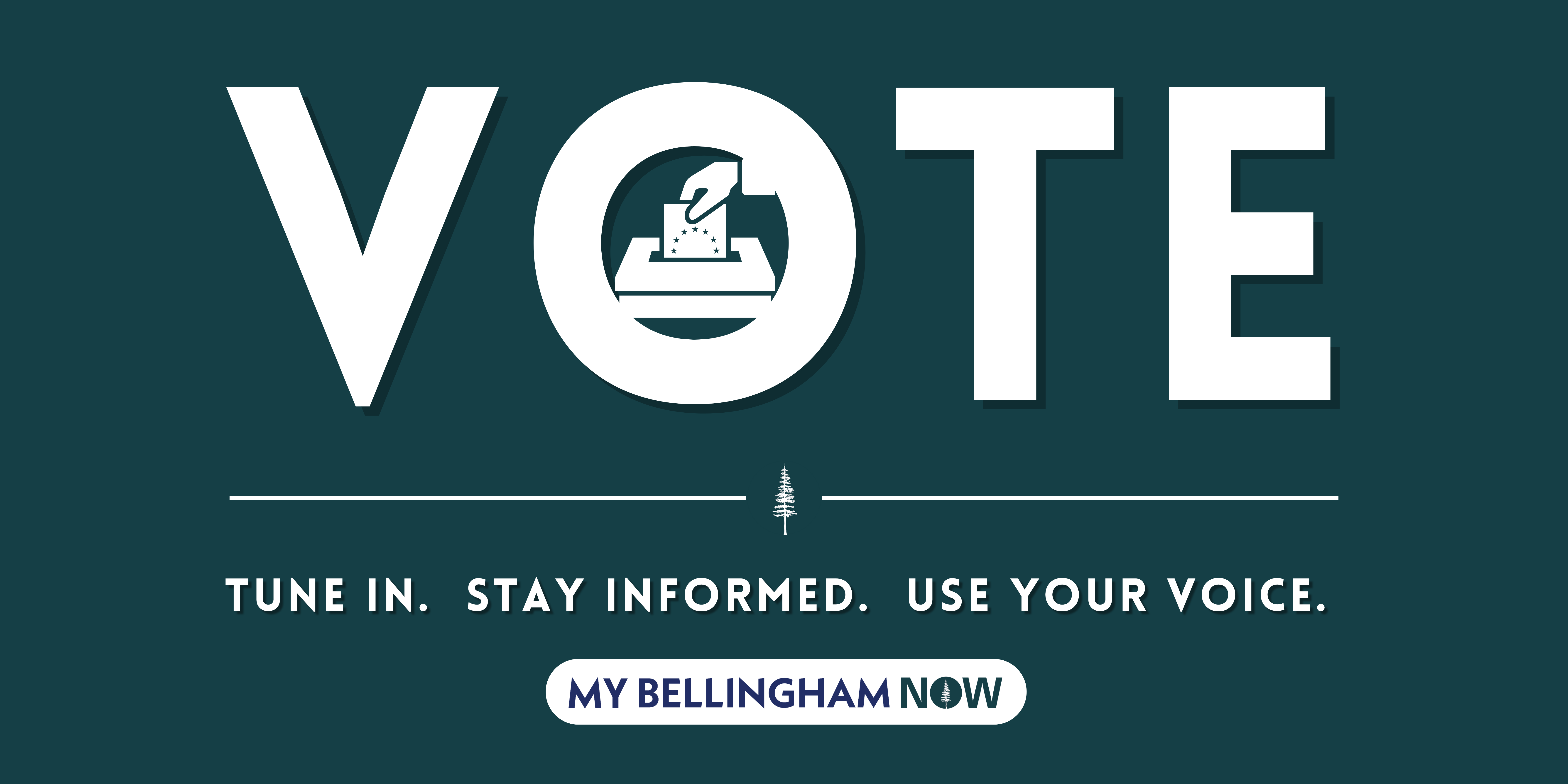 Voting Information - My Bellingham Now