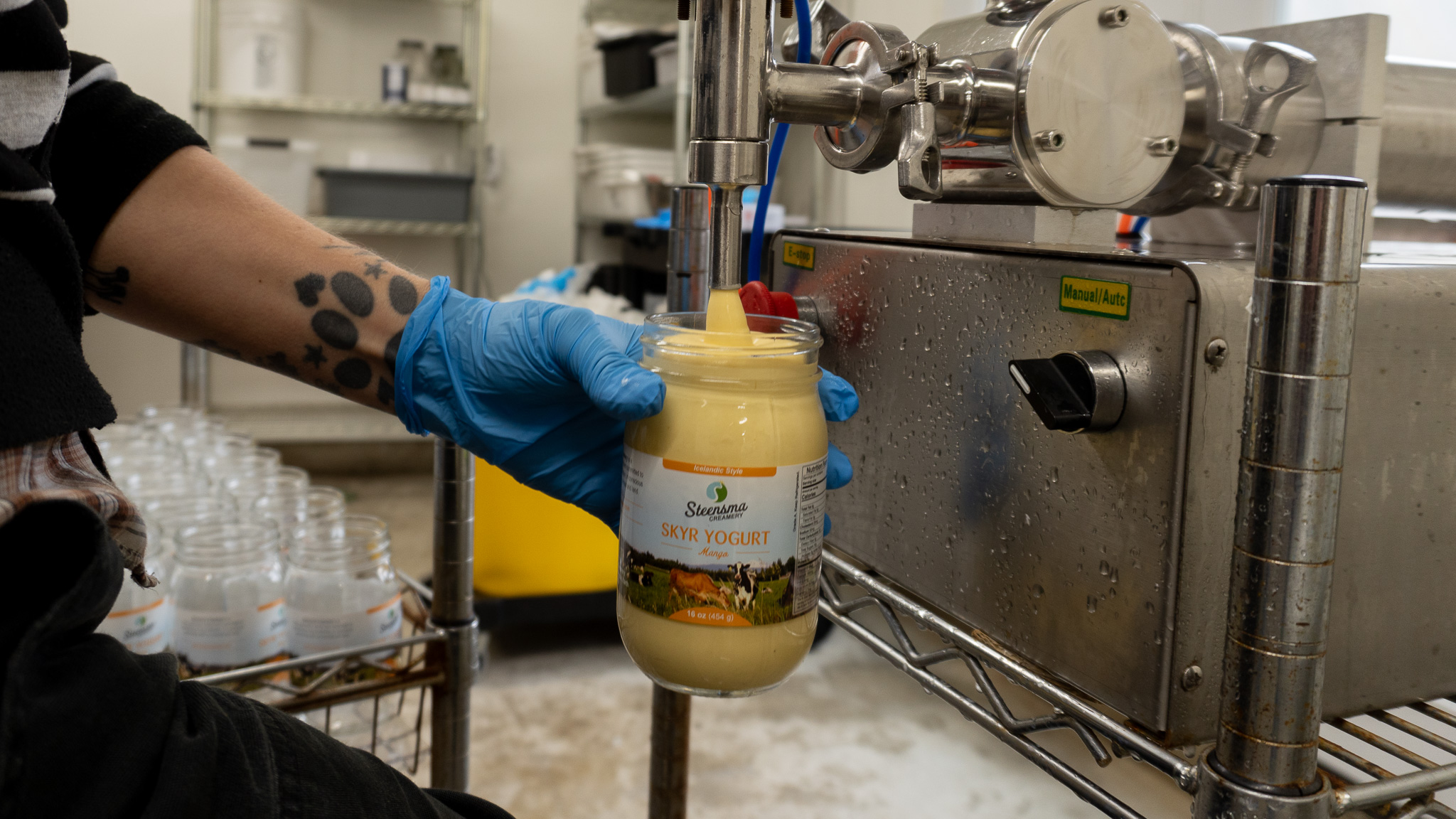 Kate Steensma: Fourth-generation dairy farmer - My Bellingham Now