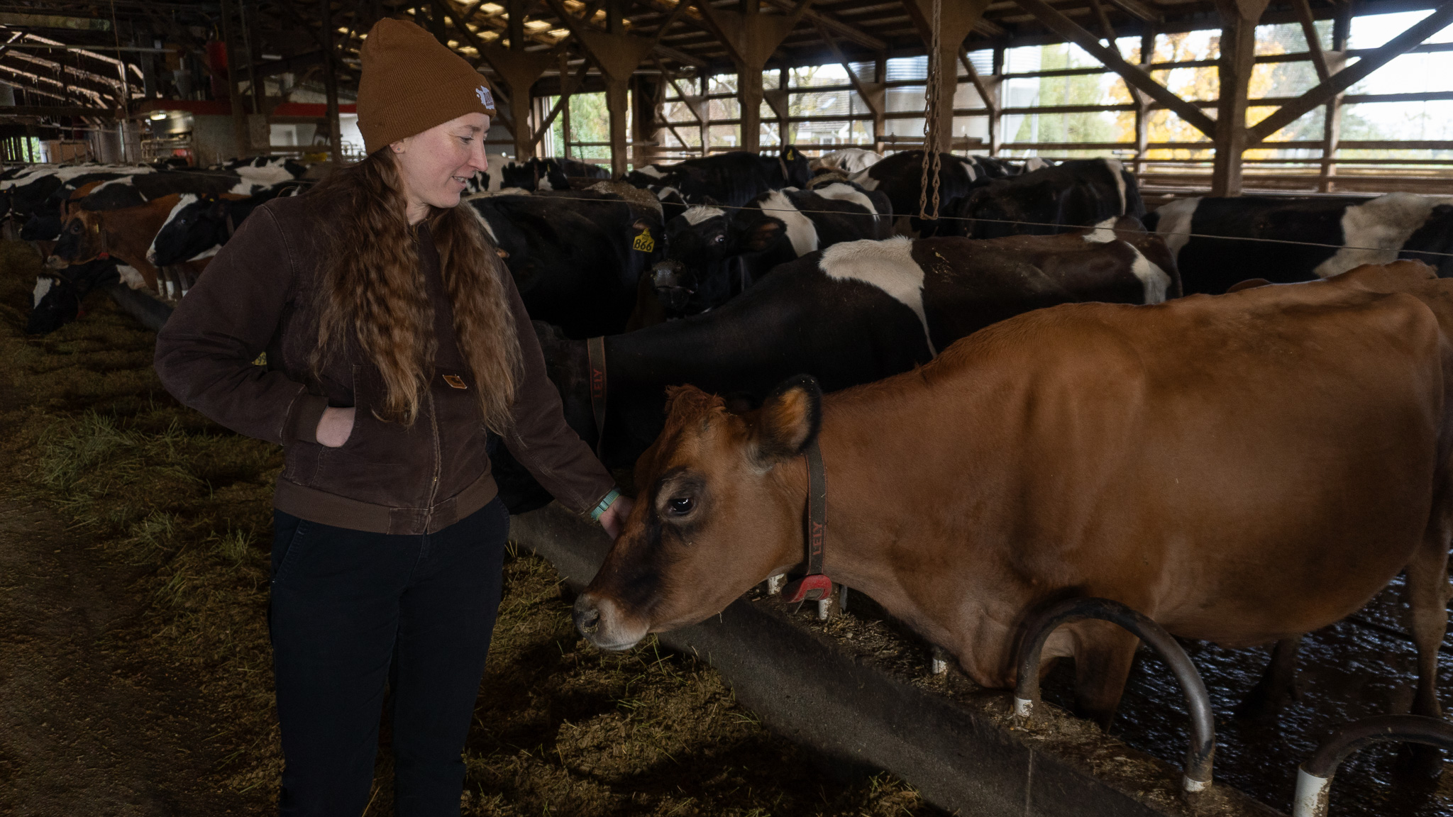 Kate Steensma: Fourth-generation dairy farmer - My Bellingham Now