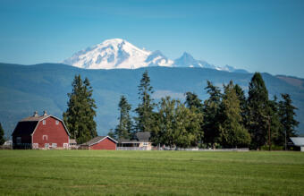 Whatcom County farm reaches settlement over illegal irrigation ...