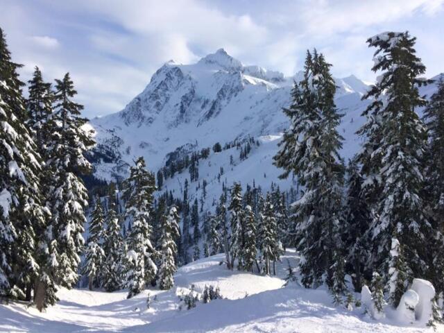 Mount Baker Ski Area has deepest snow base in PNW, Canyon now open - My ...