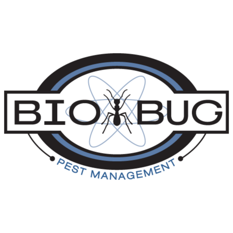 Wasps, hornets, yellow jackets, oh my! Summer activities and stinging ...