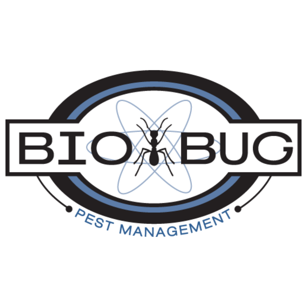 Insects Invading Homes in Northwest Washington: How Bio Bug is fighting ...