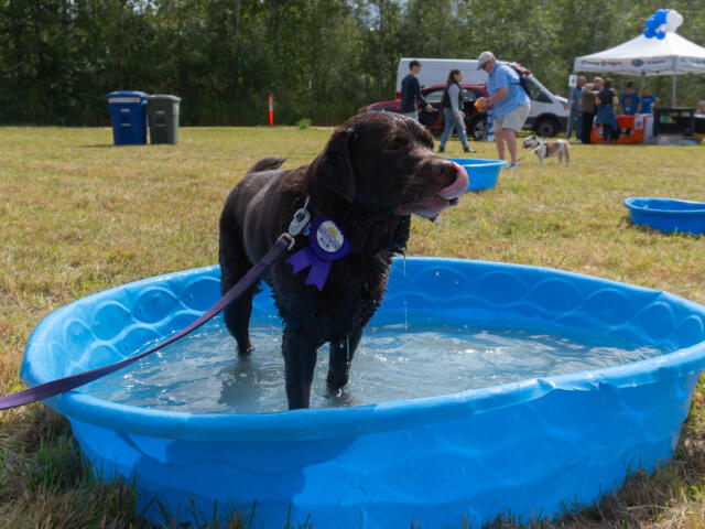 WEATHER: Heat advisory issued for Whatcom, Skagit Counties this weekend ...