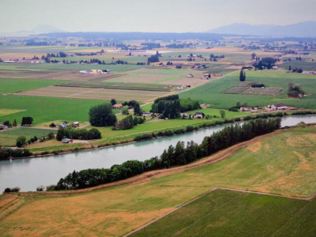 Rabies-infected bat found in child’s bedroom in Skagit County - My ...