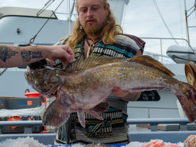 PHOTOS: Bellingham SeaFeast highlights local waterfront traditions and ...