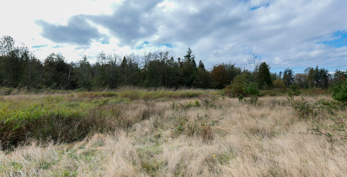 WTA purchases 31 acres in an effort to lower carbon emissions - My ...