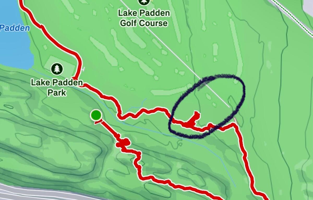 Fatal attack on dog at Lake Padden Park prompts warning from city ...