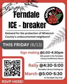 Protests planned for this weekend in Bellingham and Ferndale - My ...