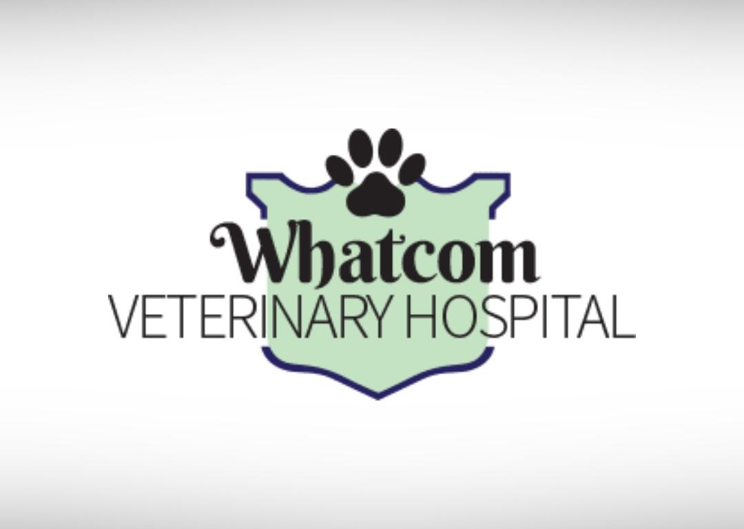 Toxic Winter Hazards for Pets: Antifreeze, Road Salt and Ice Melt - My ...