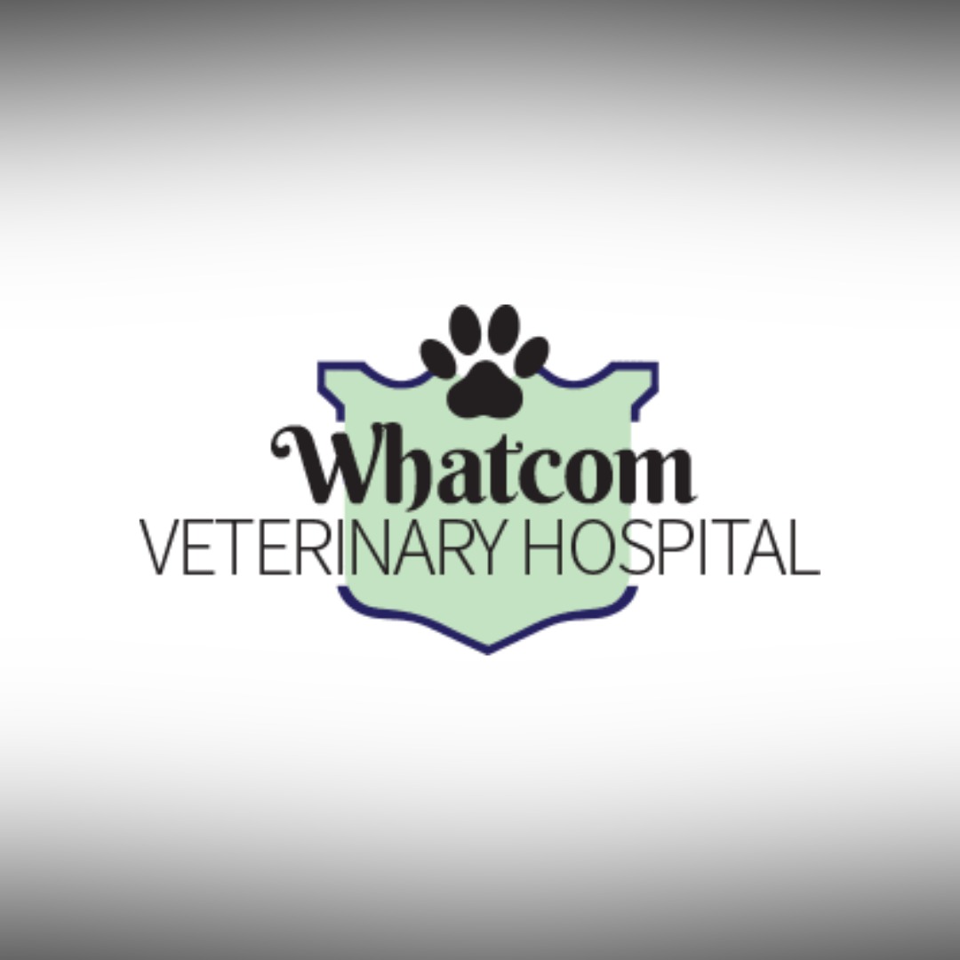Ticks and Intestinal Parasites Pose Seasonal Risks for Pets in Whatcom ...